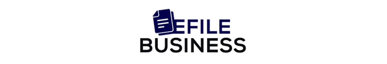 E FILE BUSINESS
